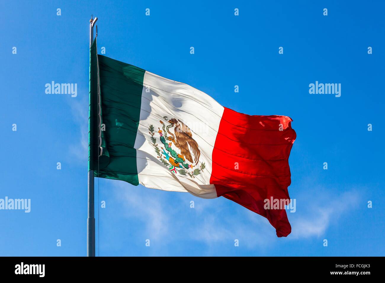 Official flag of mexico hi-res stock photography and images - Alamy
