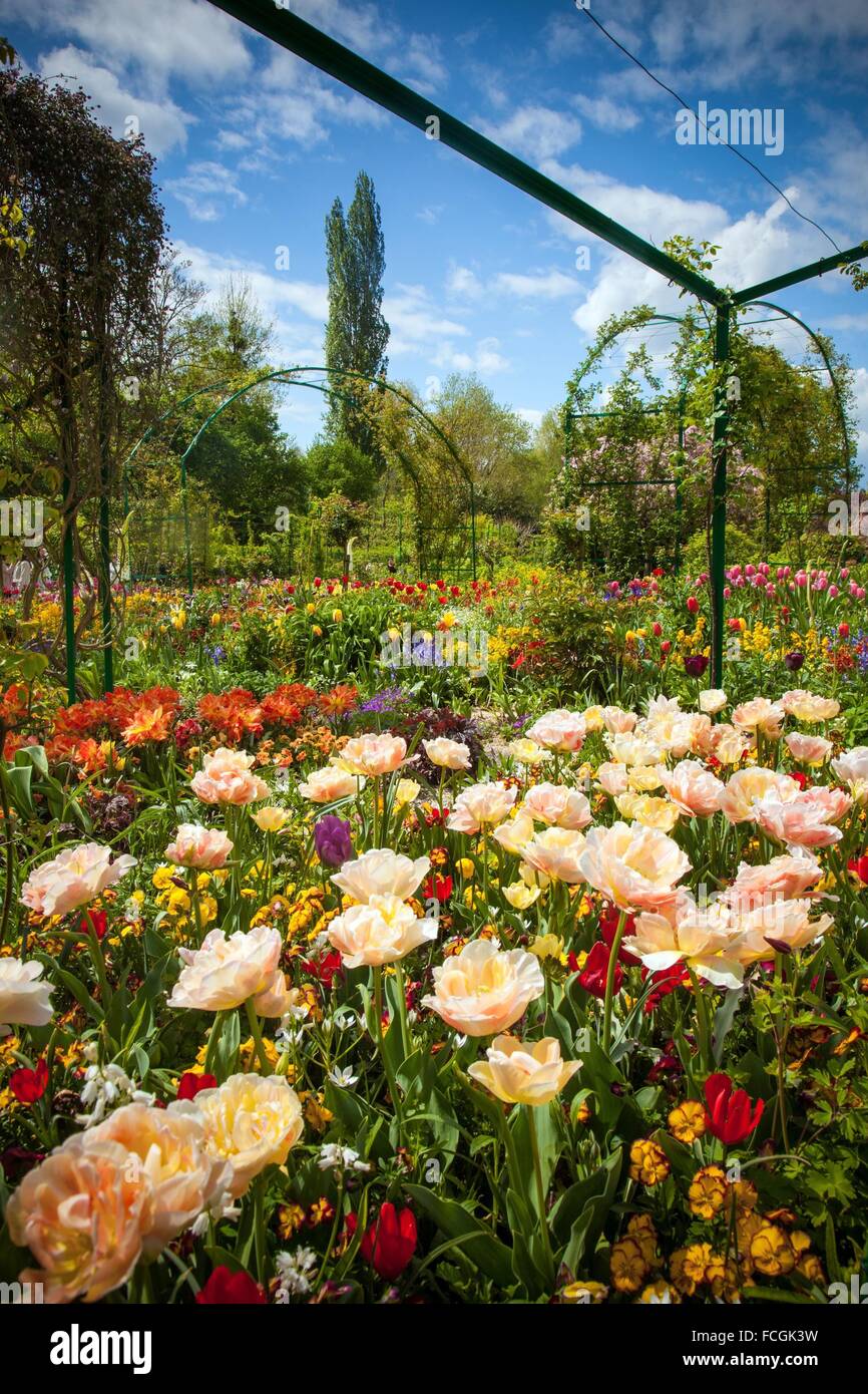 THE CLAUDE MONET'S GARDEN, GIVERNY, NORMANDY, FRANCE Stock Photo - Alamy