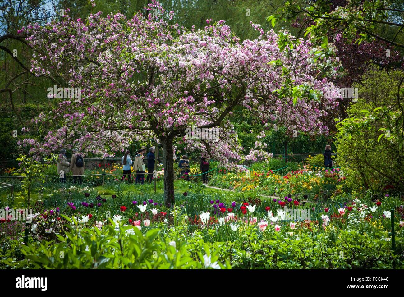 Apple Orchard Normandy High Resolution Stock Photography and Images - Alamy