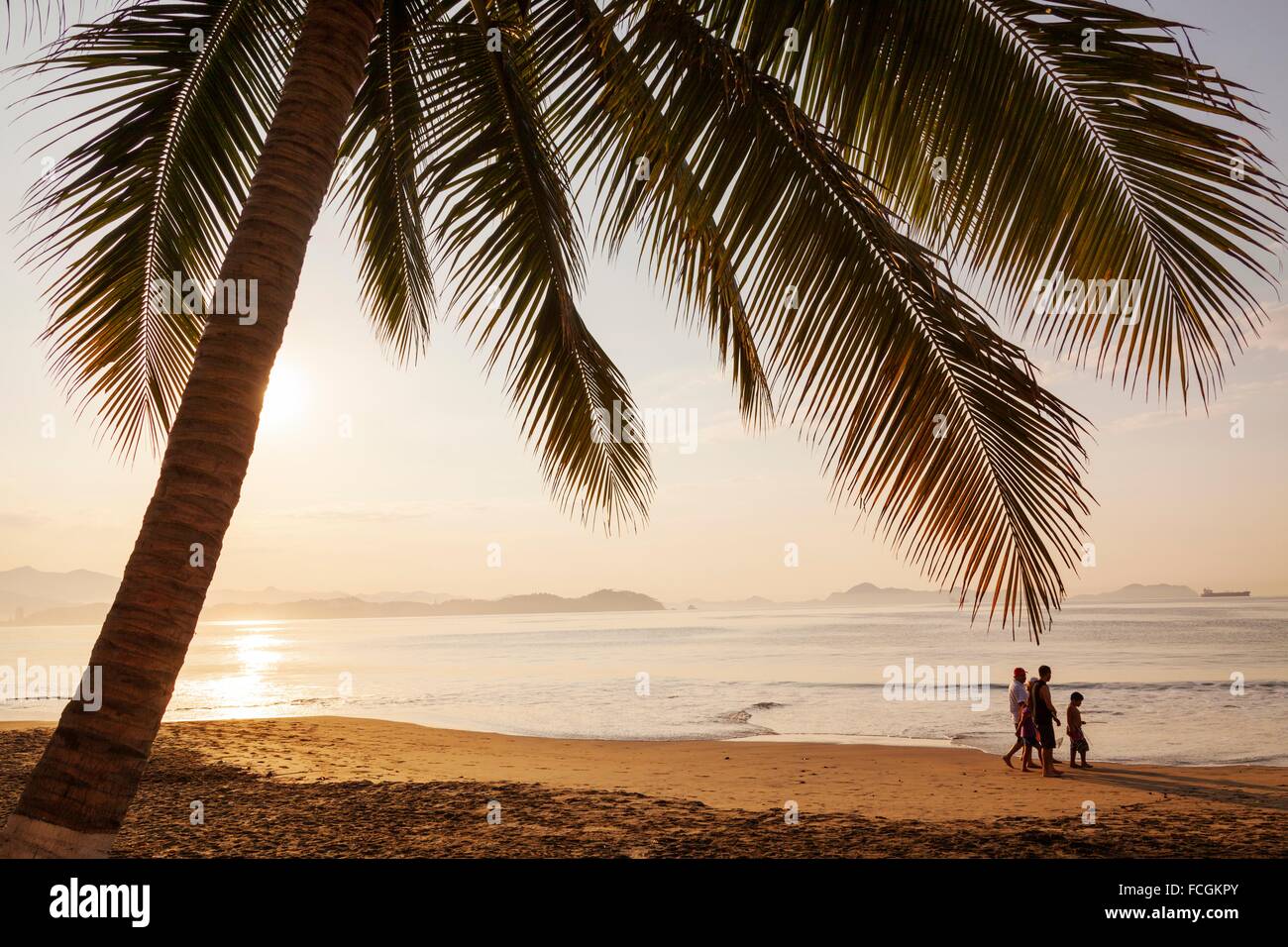Family beach palm tree hi-res stock photography and images - Alamy