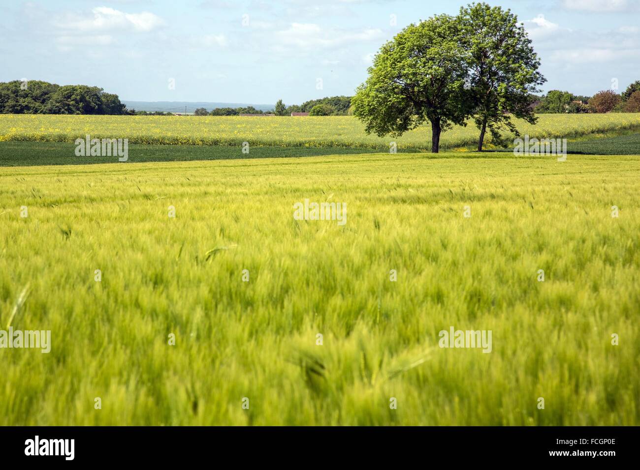 FARMING IN FRANCE Stock Photo - Alamy