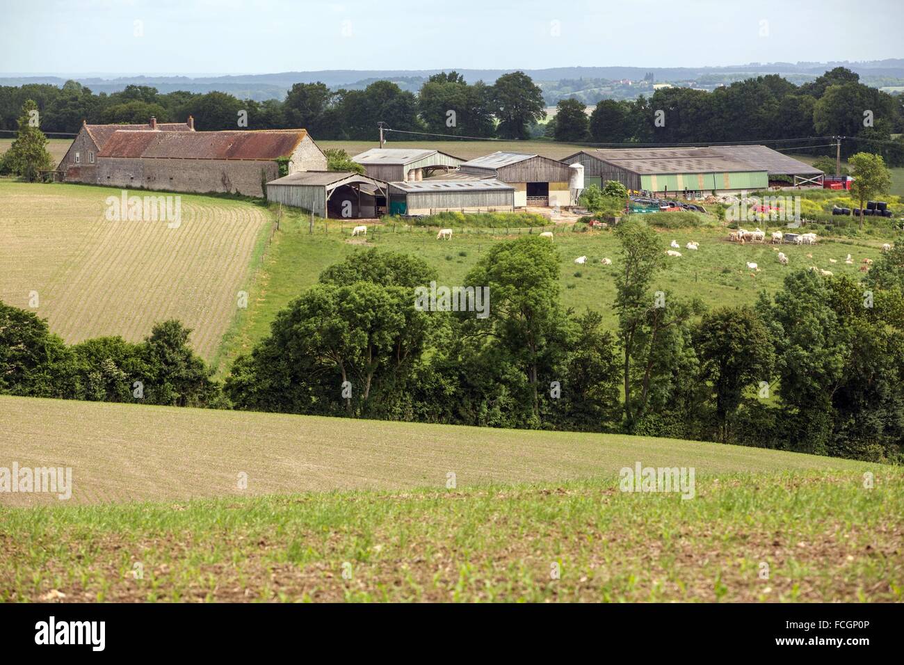 FARMING IN FRANCE Stock Photo - Alamy
