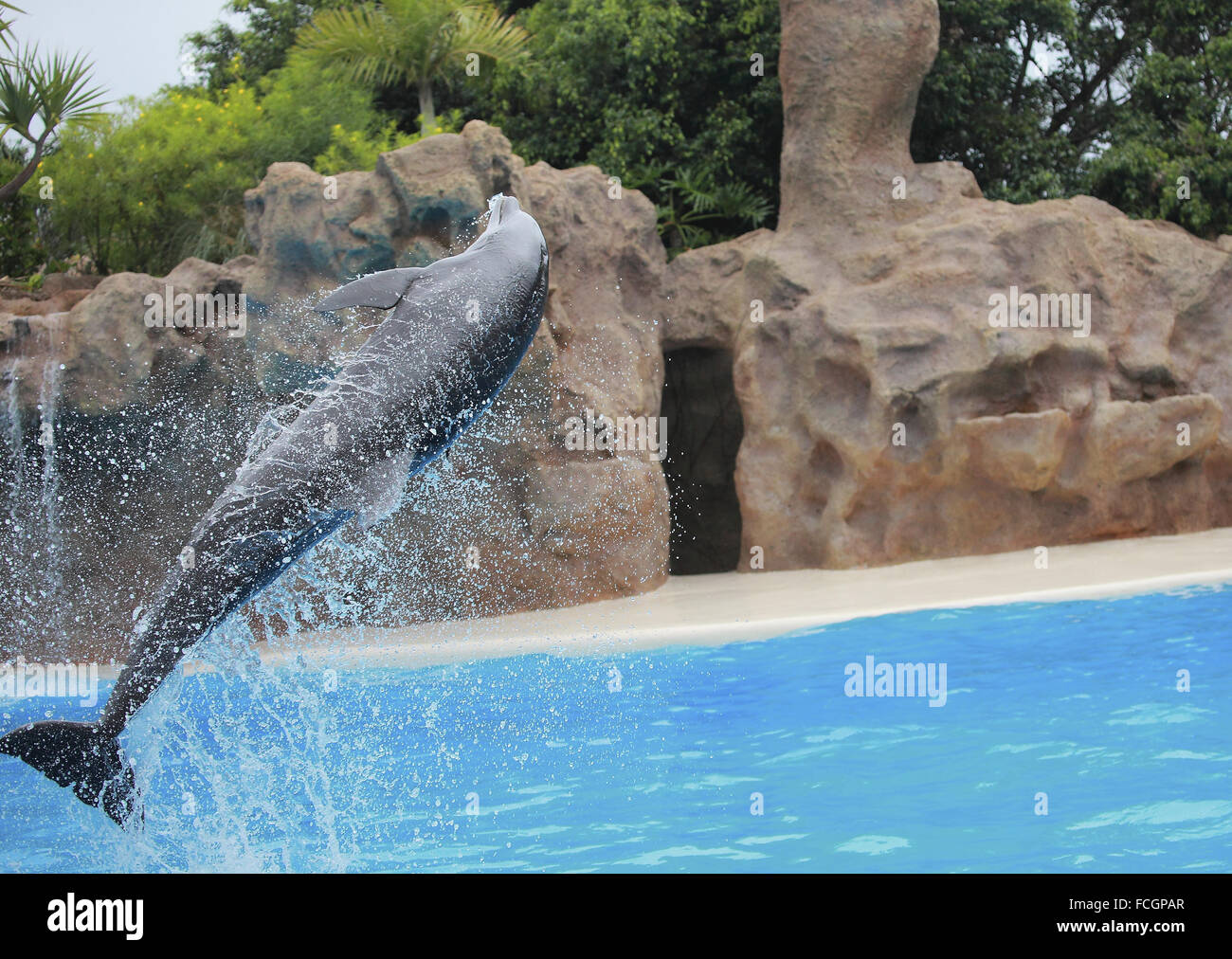 Dolphin nose hi-res stock photography and images - Alamy