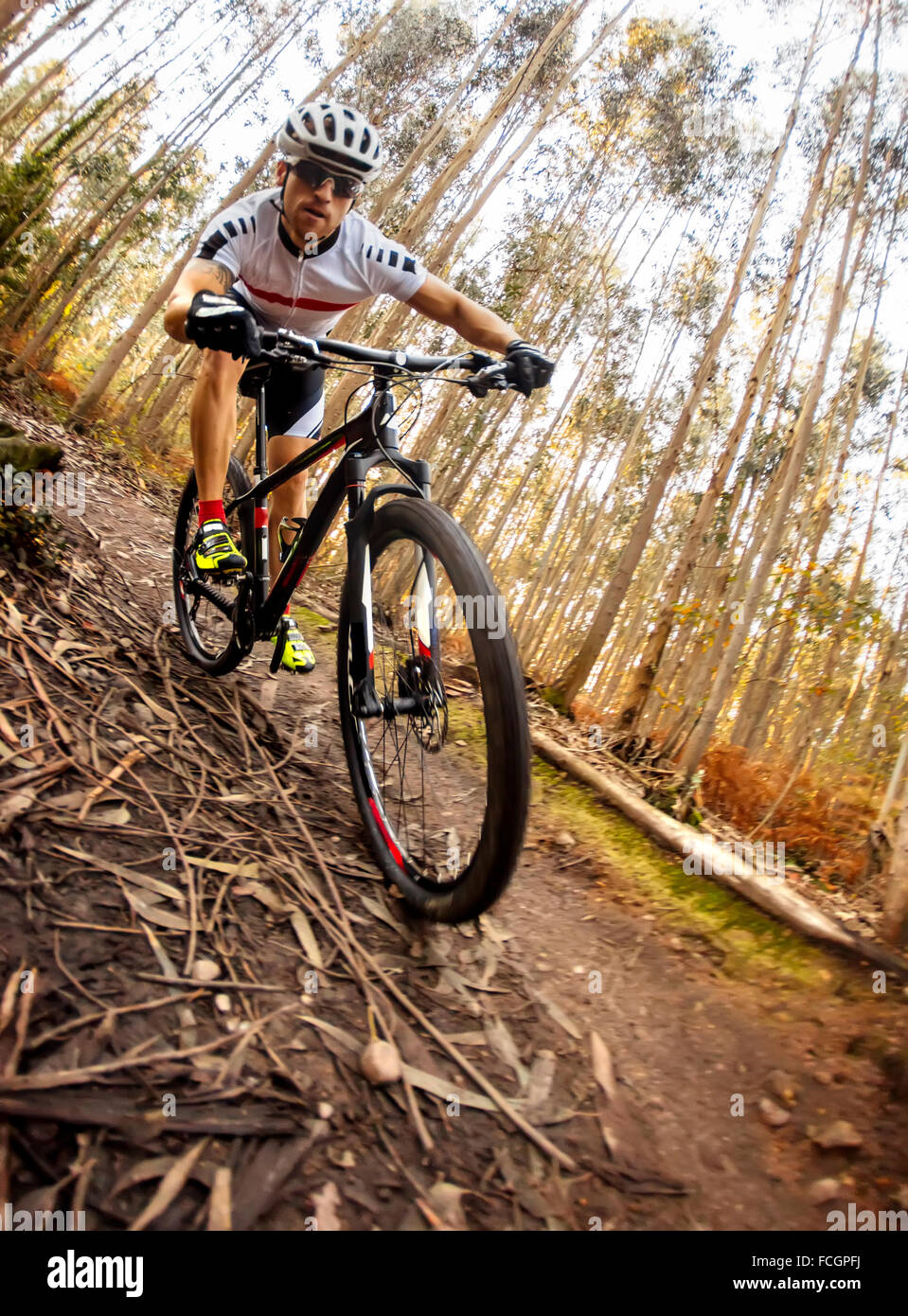 Mountain biker driving in the forest Stock Photo - Alamy