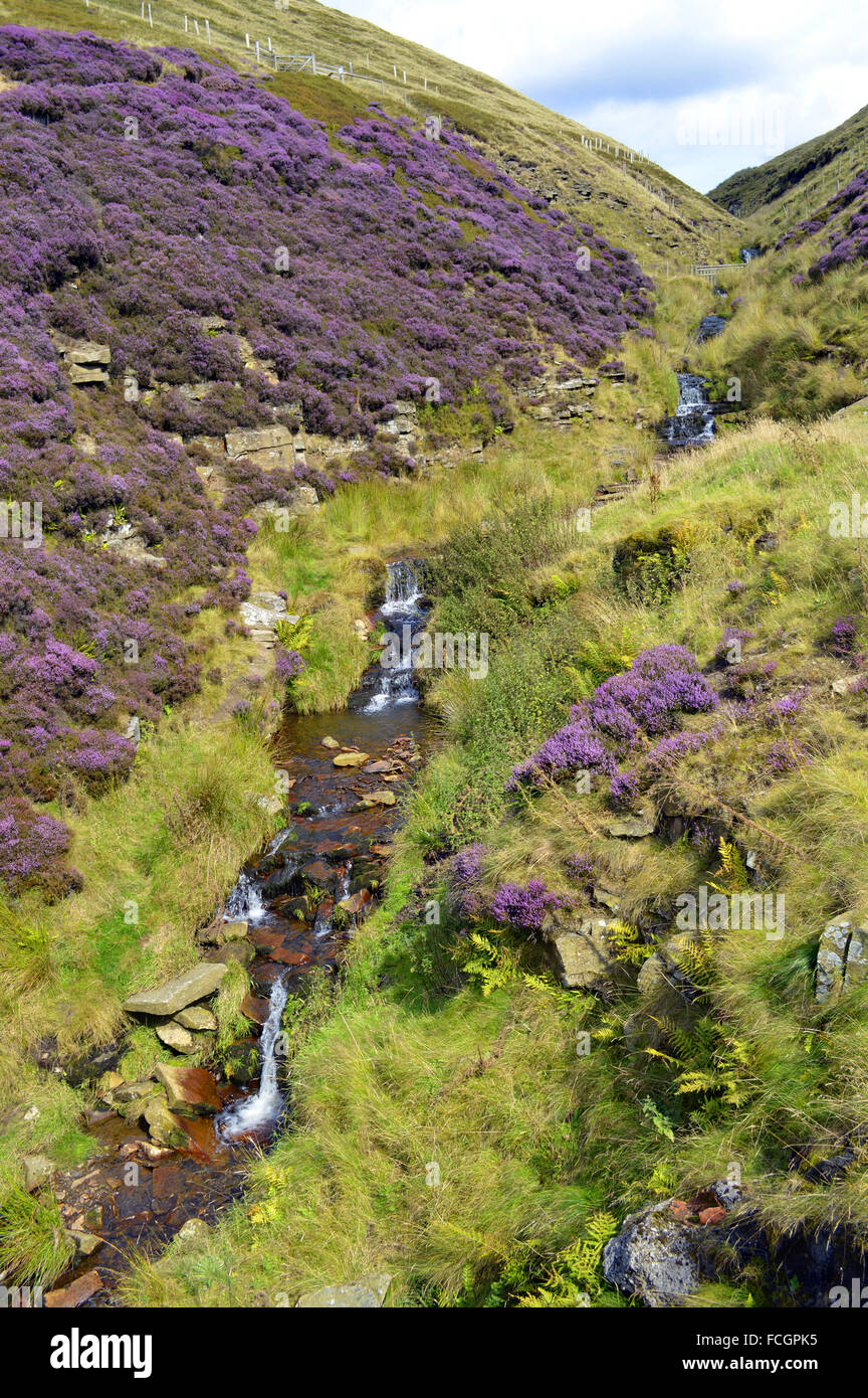 Waterfall in Derbyshire, England UK Stock Photo - Alamy