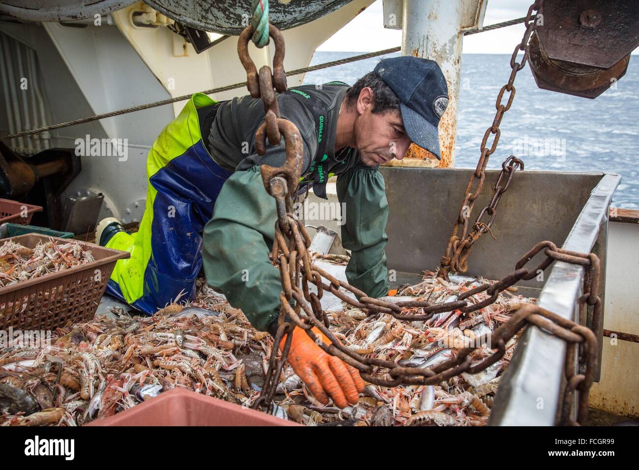PRAWN FISHING AT SEA, FRANCE Stock Photo - Alamy