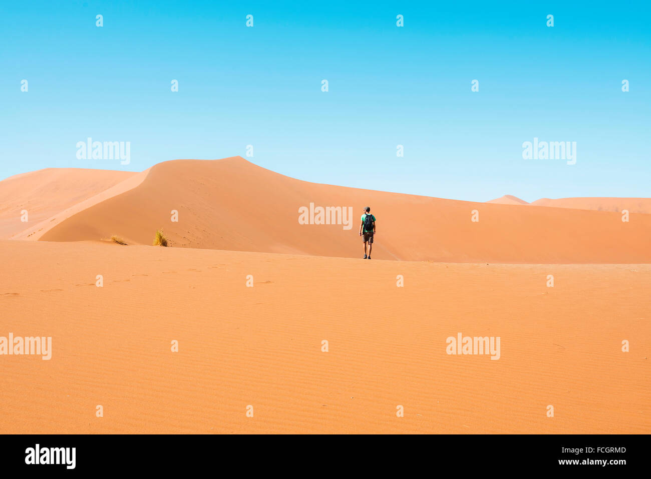 Namibia Namib Desert Sossusvlei Man walking through the dunes Stock ...