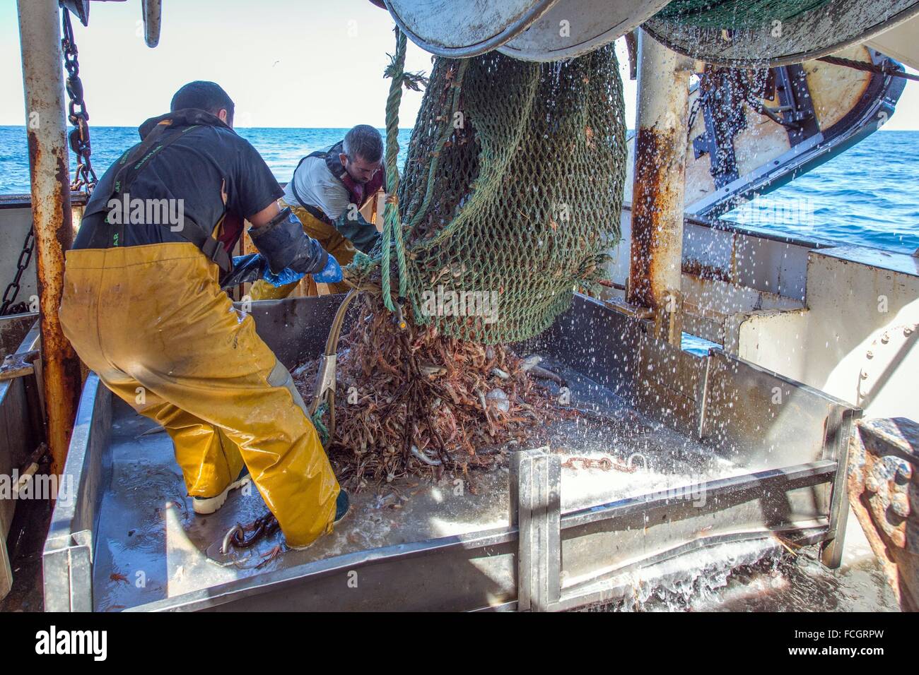 PRAWN FISHING AT SEA, FRANCE Stock Photo - Alamy