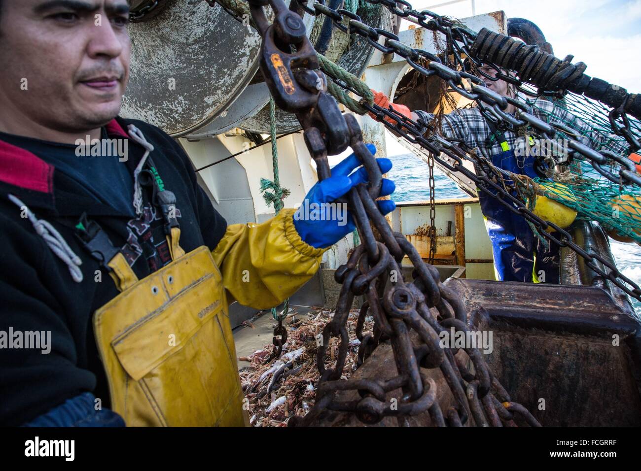 PRAWN FISHING AT SEA, FRANCE Stock Photo - Alamy