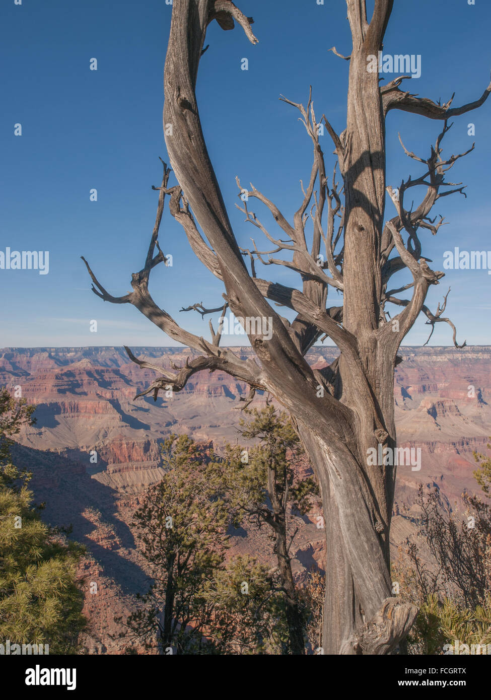 Arizona south rim hi-res stock photography and images - Alamy