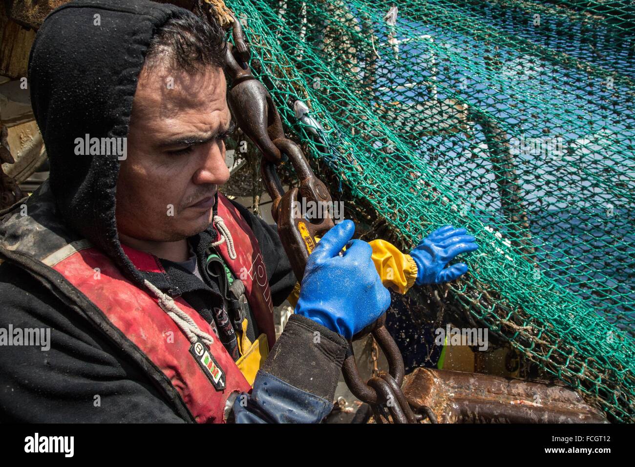 Prawn netting hi-res stock photography and images - Alamy