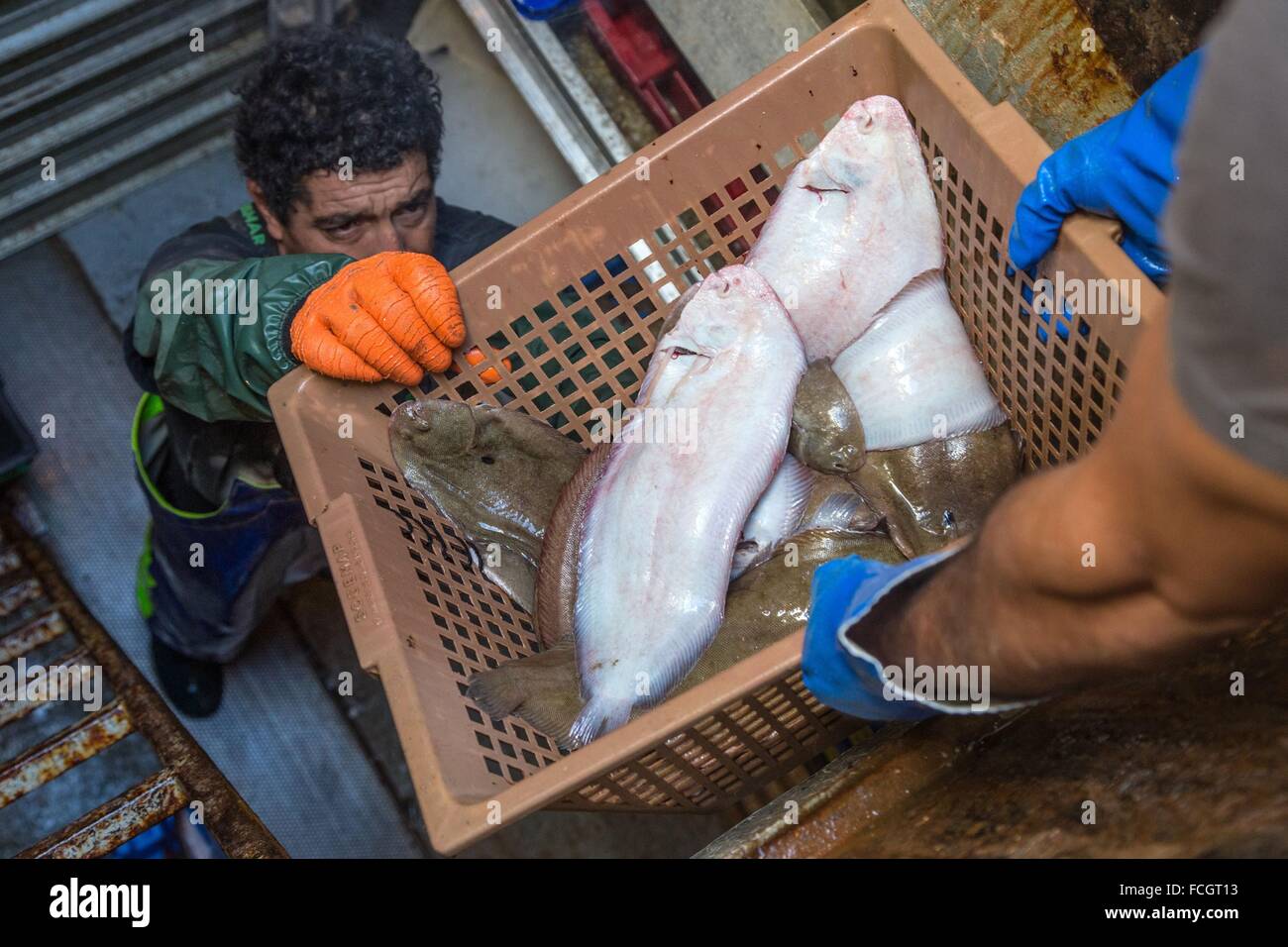 PRAWN FISHING AT SEA, FRANCE Stock Photo - Alamy