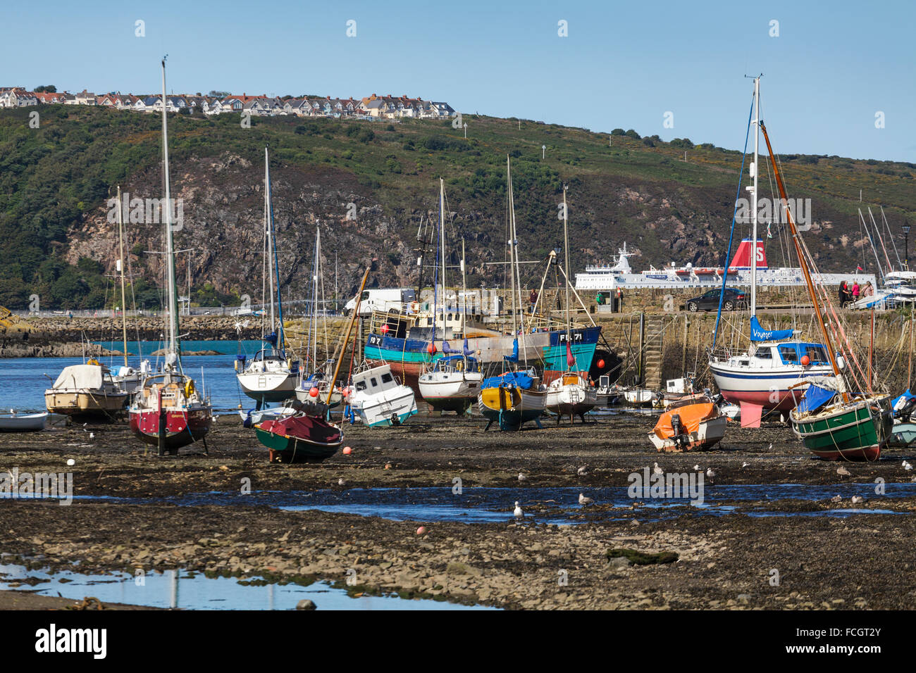 Lower Fishguard Harbour, Pembrokeshire, Wales Uk Stock Photo - Alamy