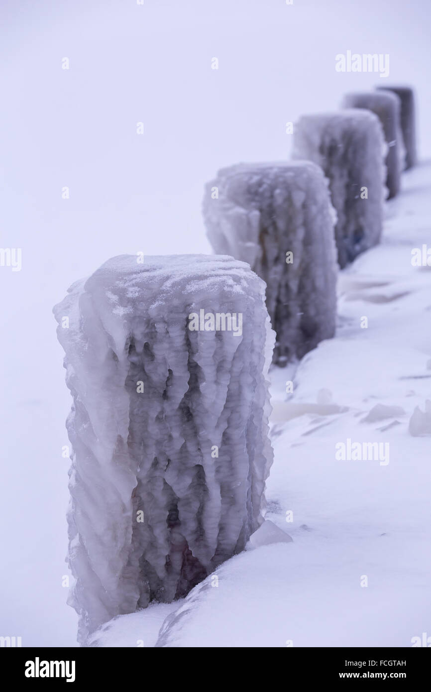 Very cold winter day on the harbor Stock Photo - Alamy