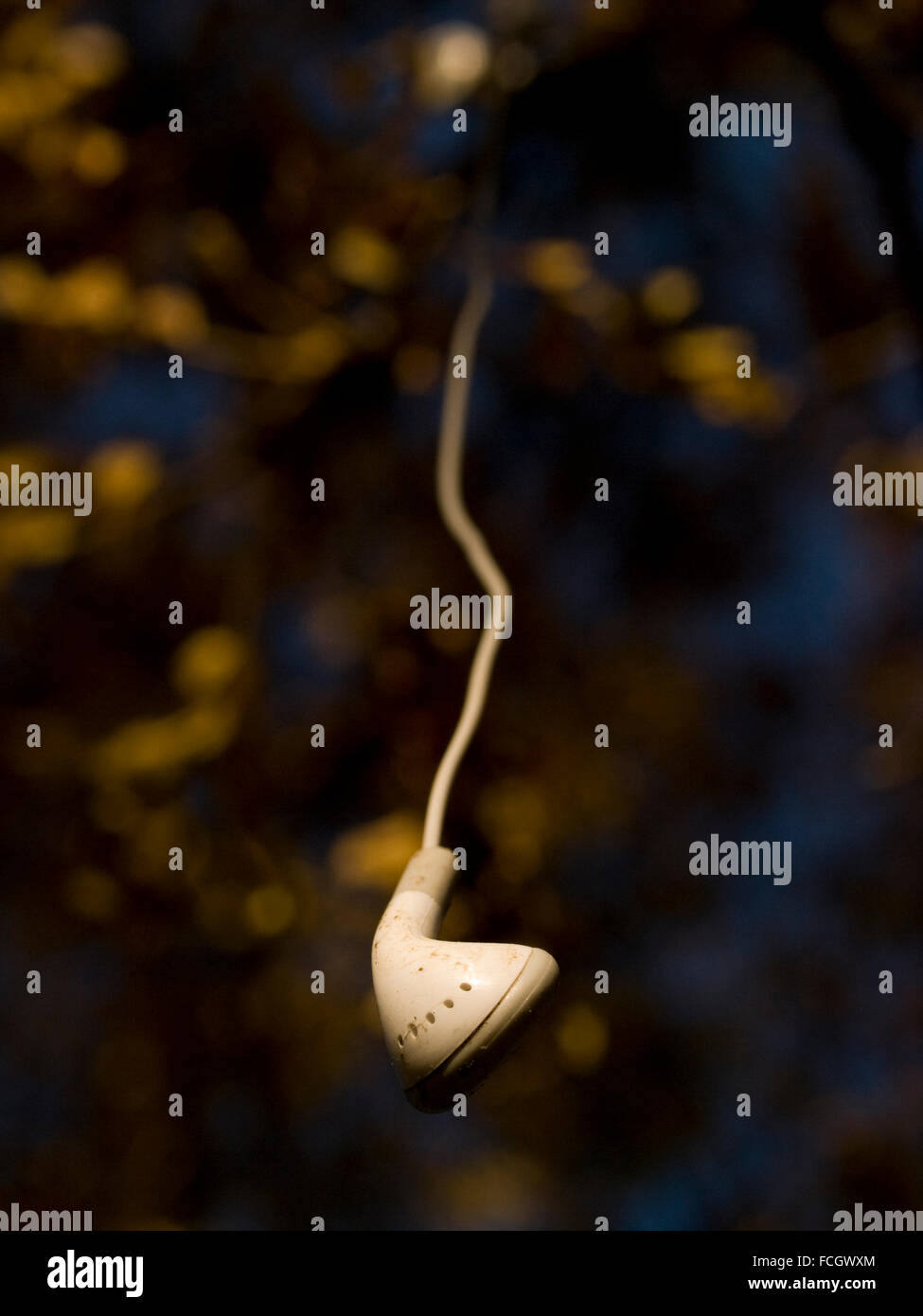 Single dirty white earphone from hanging out of a tree Stock Photo - Alamy