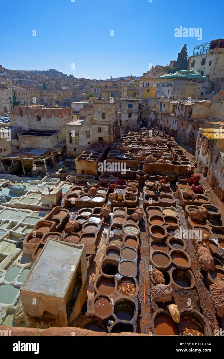 Fes el bali dyeing vats hi-res stock photography and images - Alamy