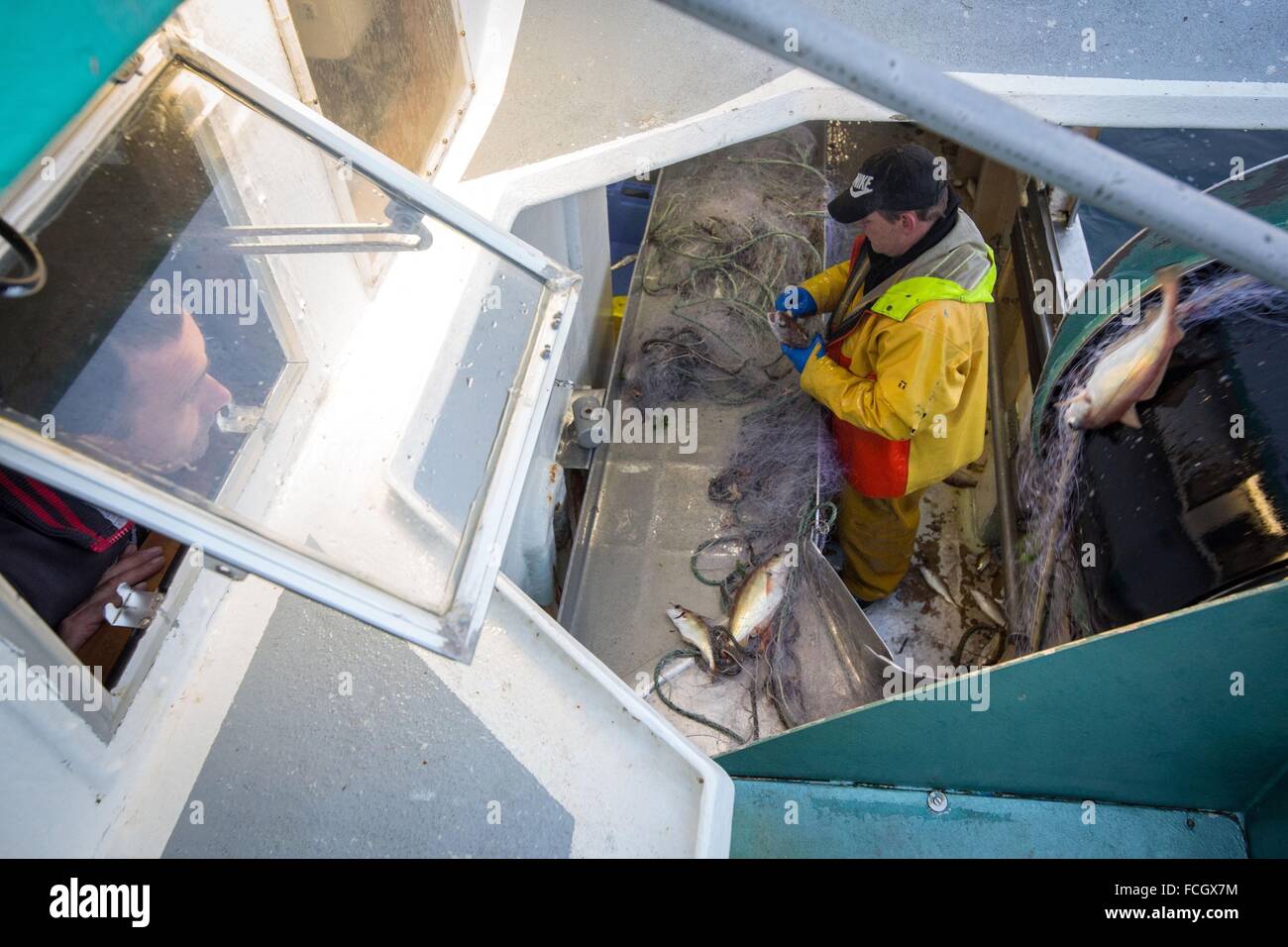 FISHING ON A GILLNETTING BOAT OFF THE COAST OF LORIENT, BRITTANY ...