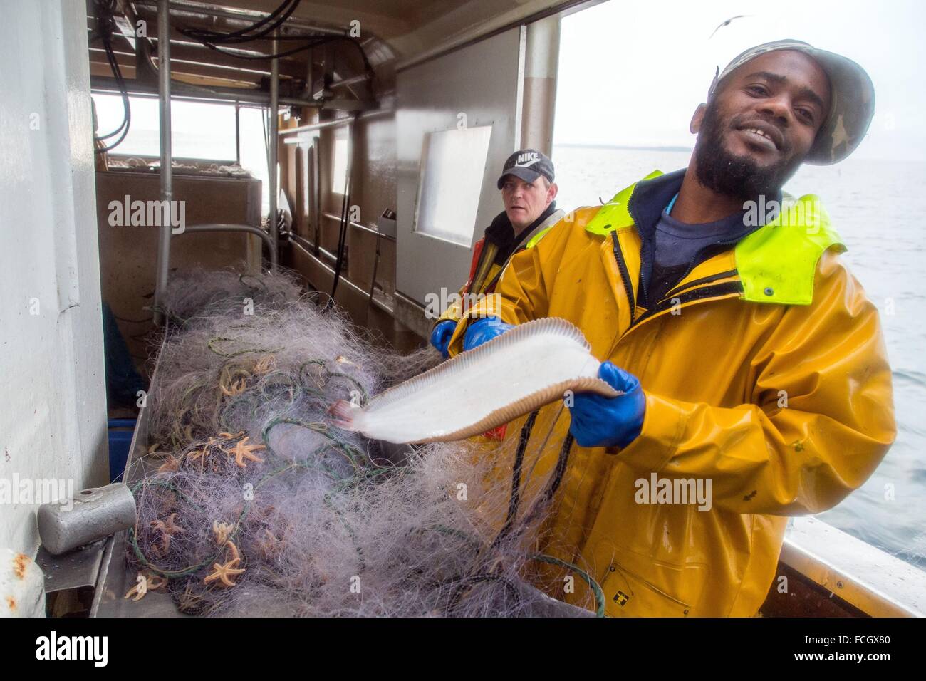 FISHING ON A GILLNETTING BOAT OFF THE COAST OF LORIENT, BRITTANY ...