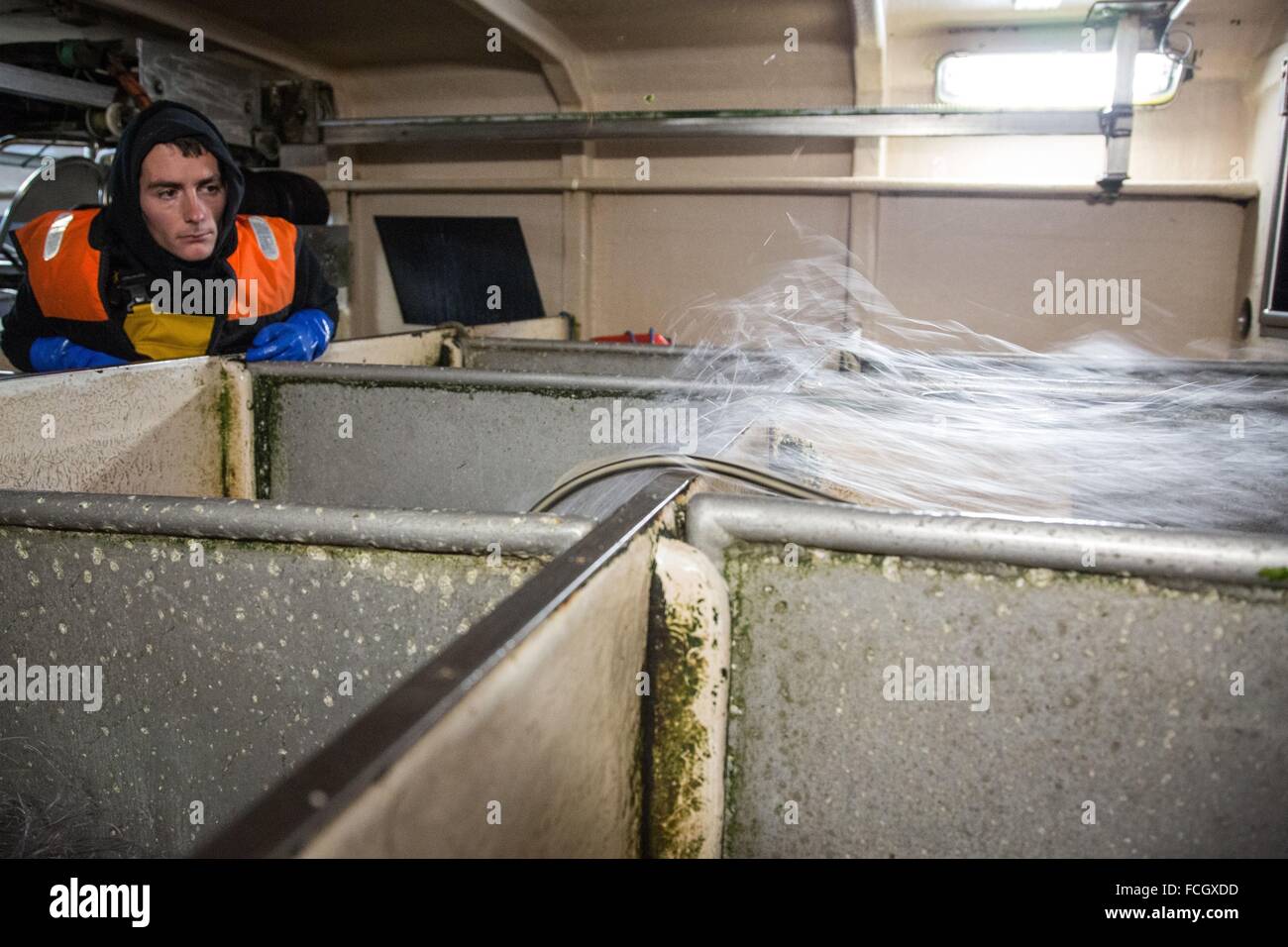 FISHING ON A GILLNETTING BOAT OFF THE COAST OF LORIENT, BRITTANY ...