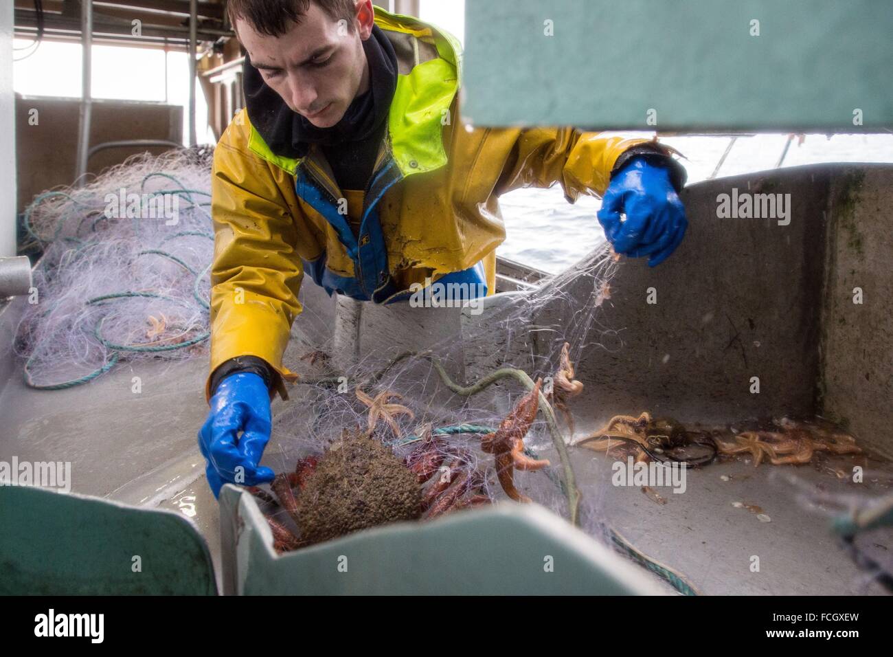 FISHING ON A GILLNETTING BOAT OFF THE COAST OF LORIENT, BRITTANY ...