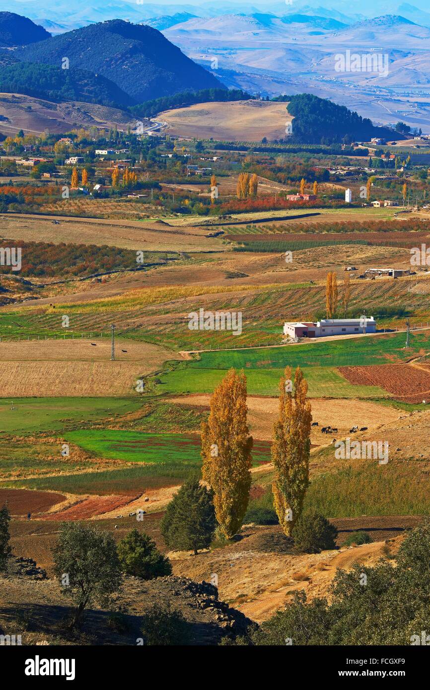 Azrou middle atlas morocco hi-res stock photography and images - Alamy