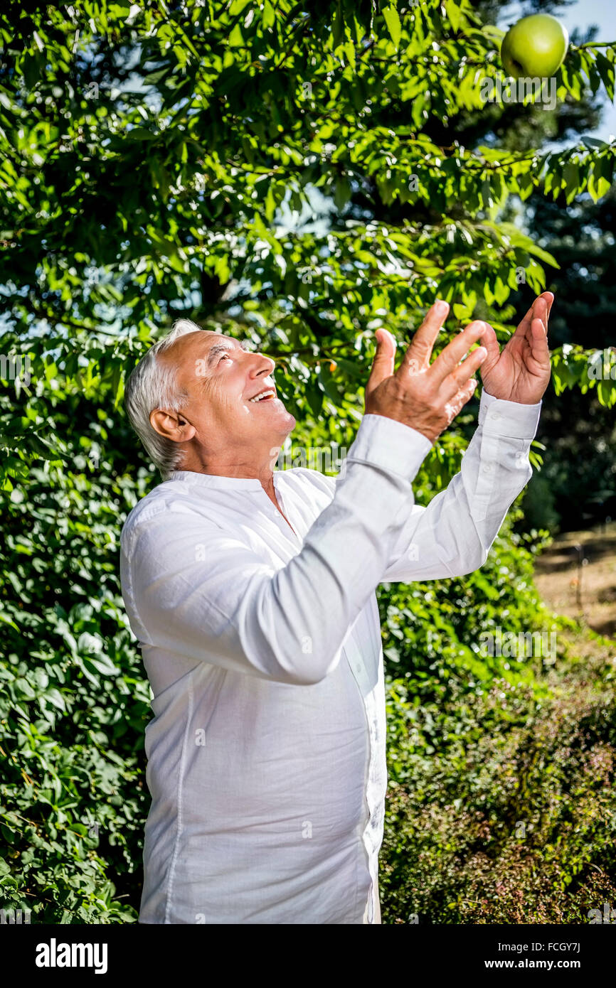 Smiling senior man throwing an apple in garden Stock Photo - Alamy