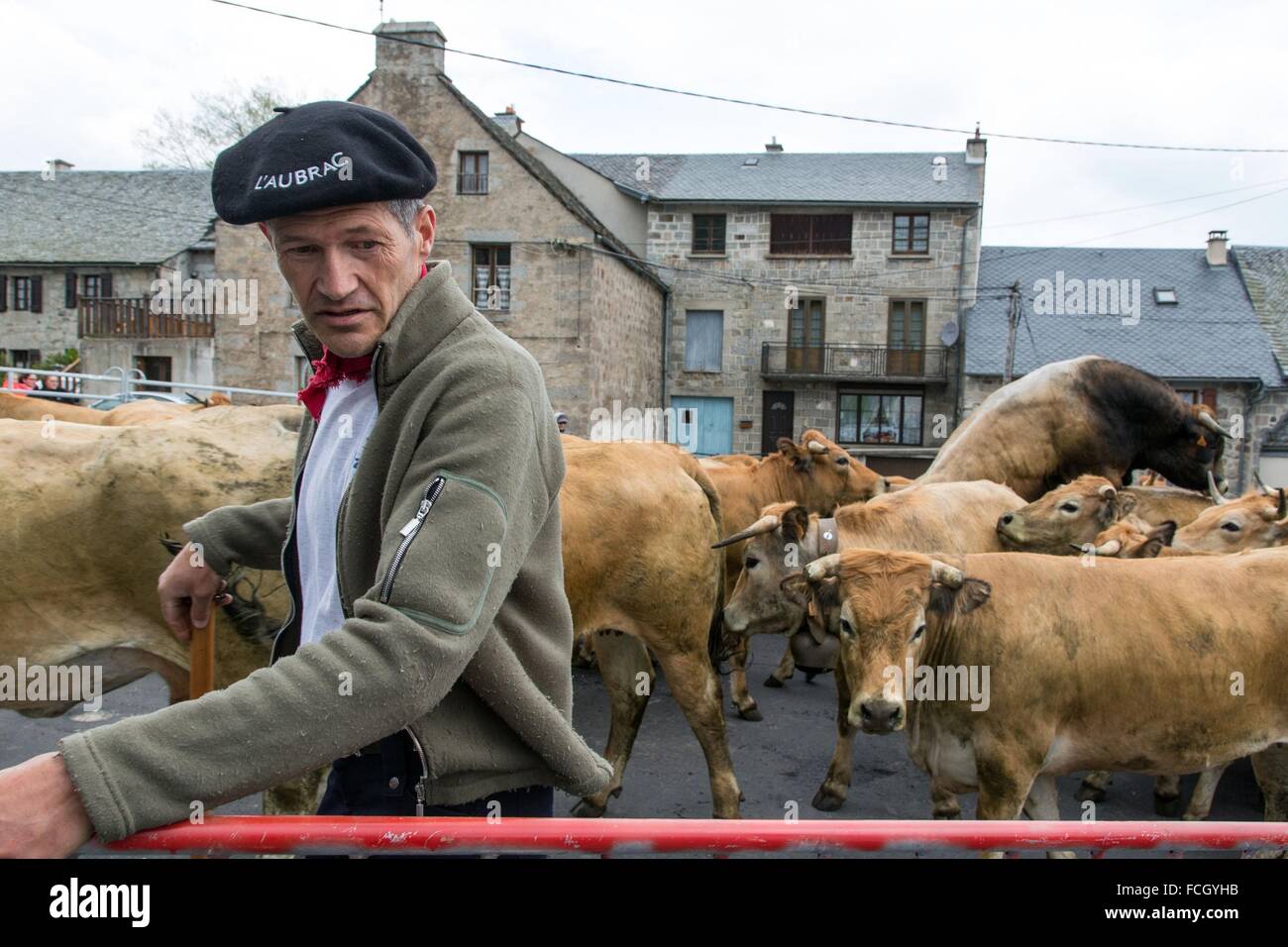 TRANSHUMANCE FESTIVAL, LOZERE (48), FRANCE Stock Photo - Alamy