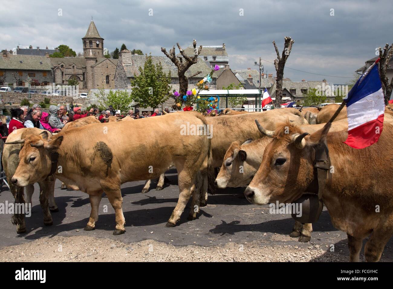 TRANSHUMANCE FESTIVAL, LOZERE (48), FRANCE Stock Photo - Alamy