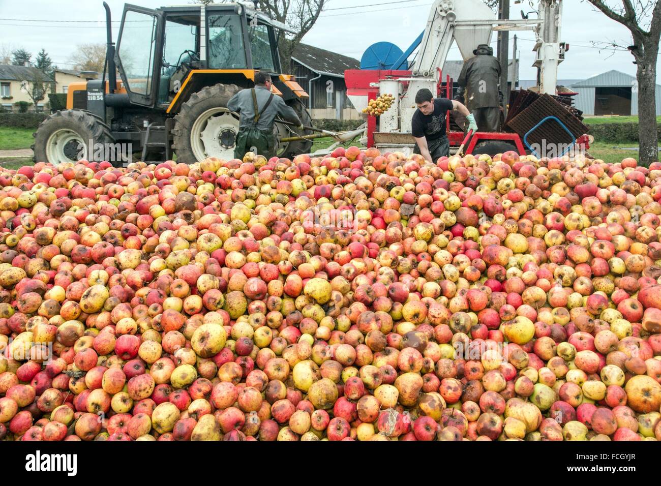 Cider farm hi-res stock photography and images - Alamy