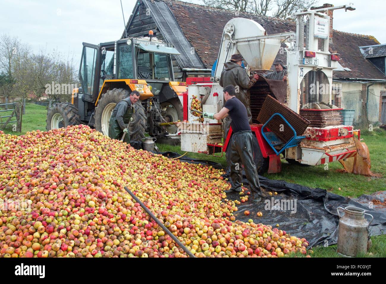 THE MAKING OF FARM CIDER, NORMANDY, FRANCE Stock Photo - Alamy
