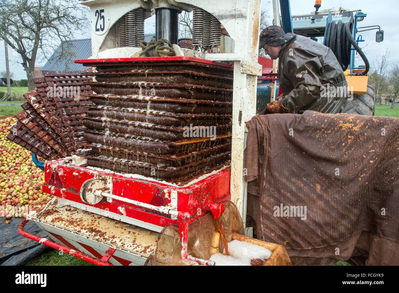 THE MAKING OF FARM CIDER, NORMANDY, FRANCE Stock Photo - Alamy