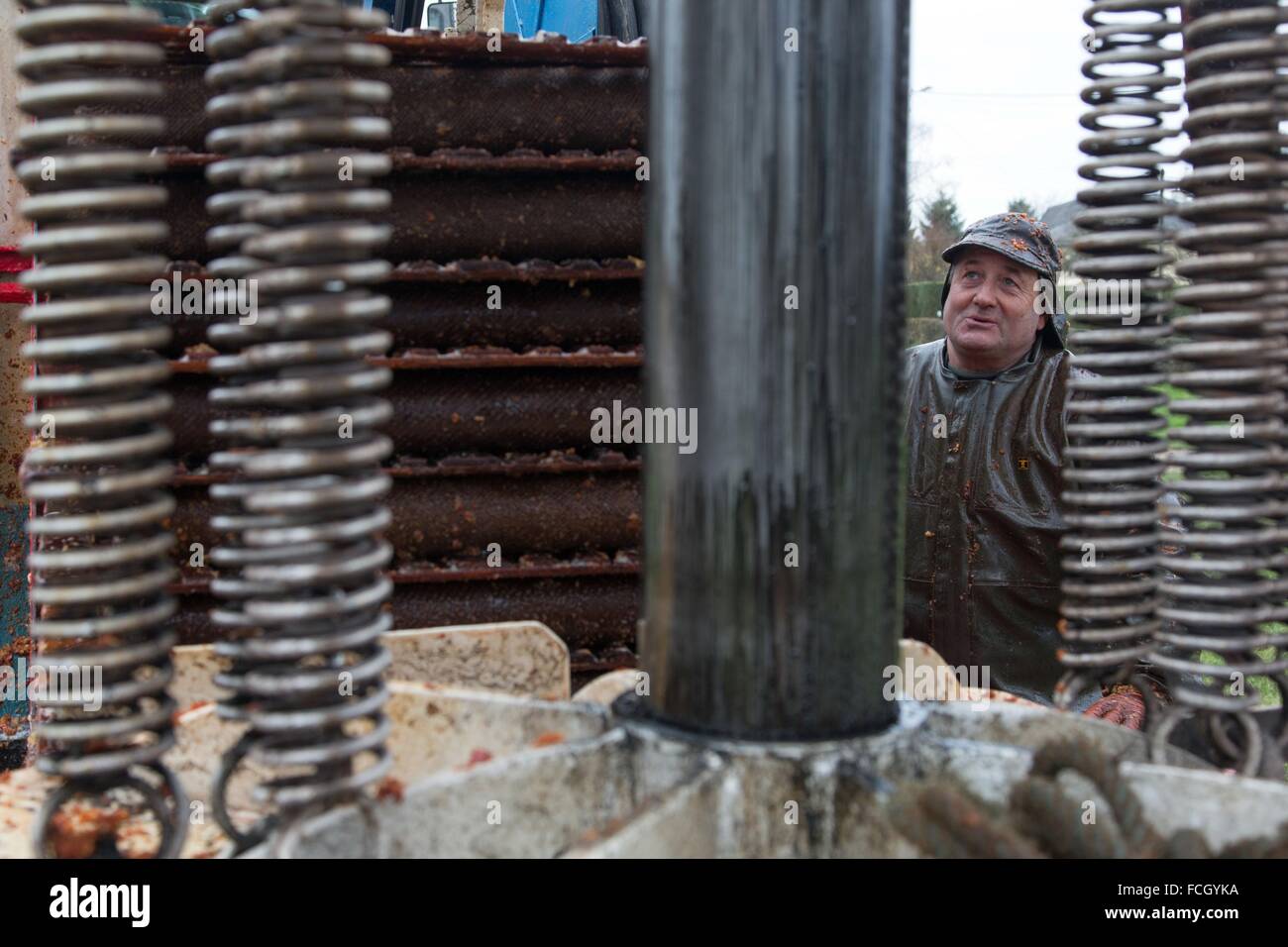 THE MAKING OF FARM CIDER, NORMANDY, FRANCE Stock Photo - Alamy