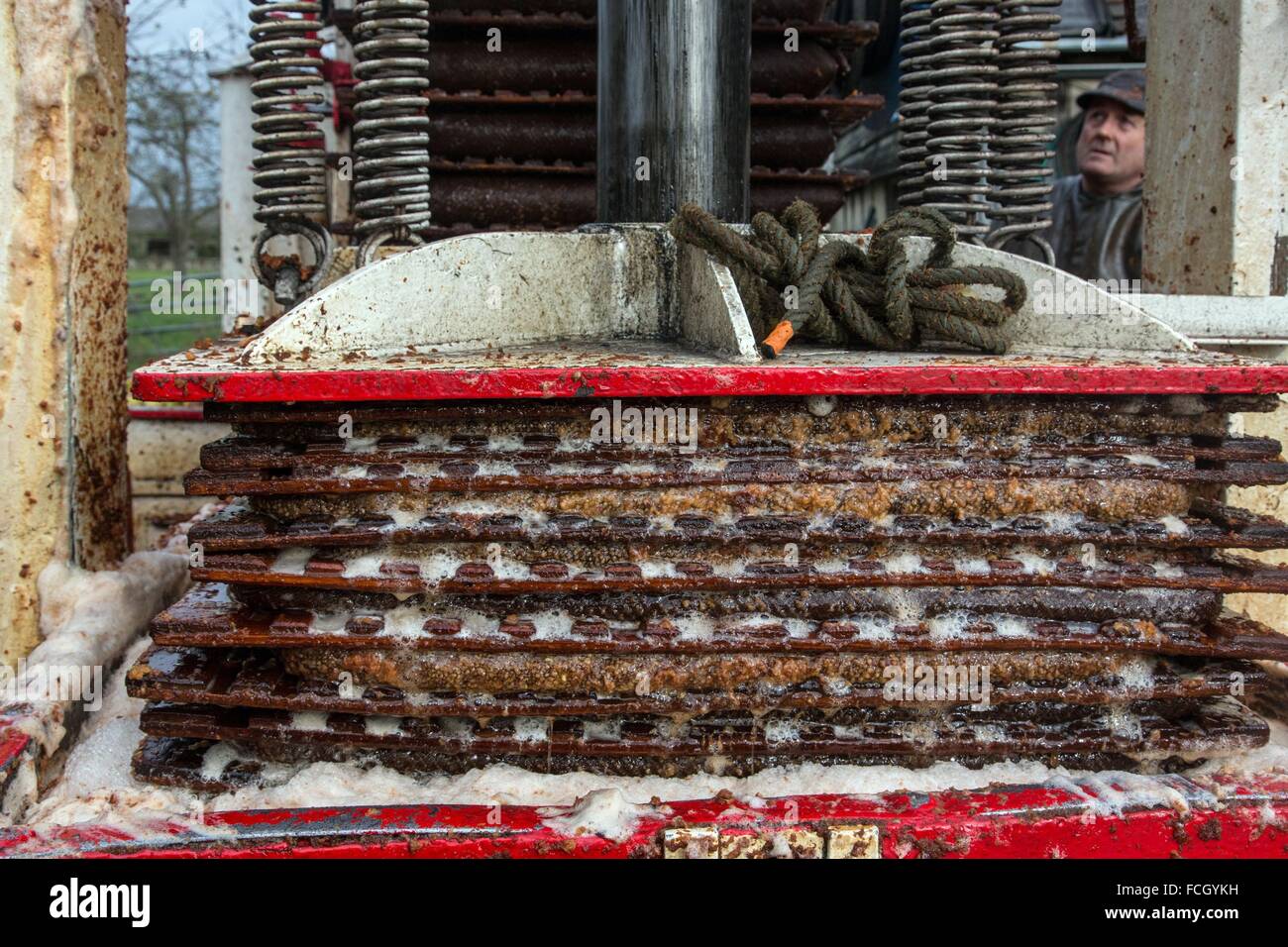 THE MAKING OF FARM CIDER, NORMANDY, FRANCE Stock Photo - Alamy