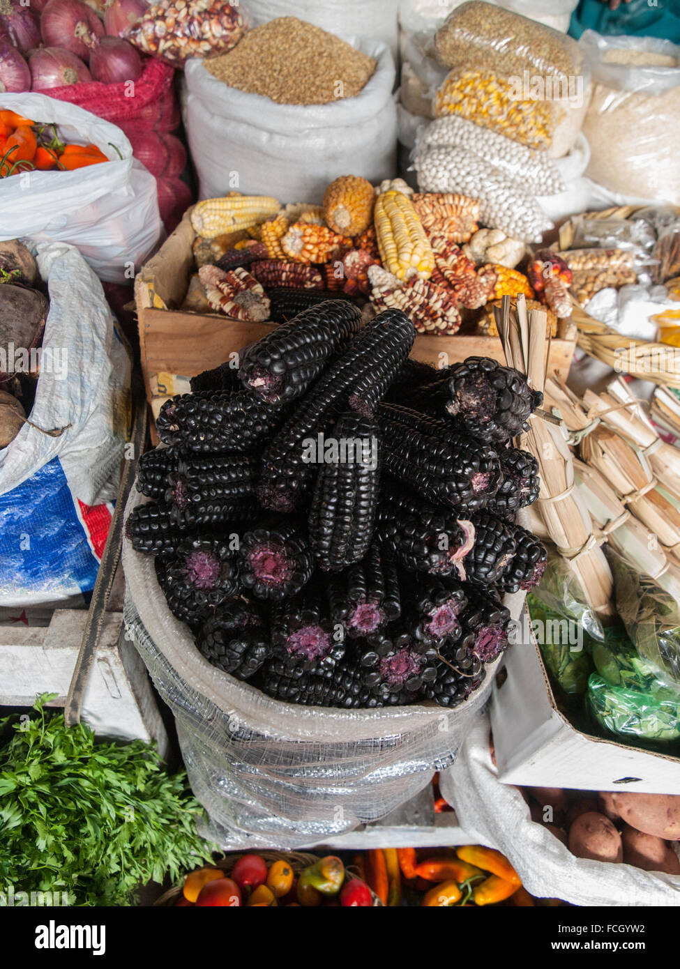 Maize farm south america hi-res stock photography and images - Alamy