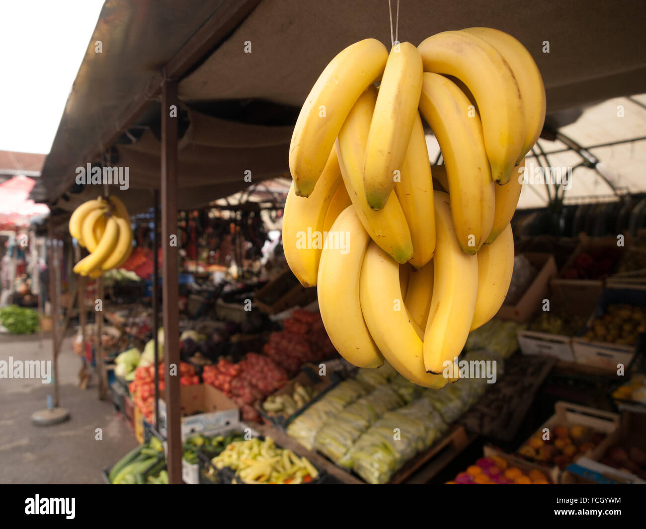 Yellow ripe bananas hanging in hi-res stock photography and images - Alamy