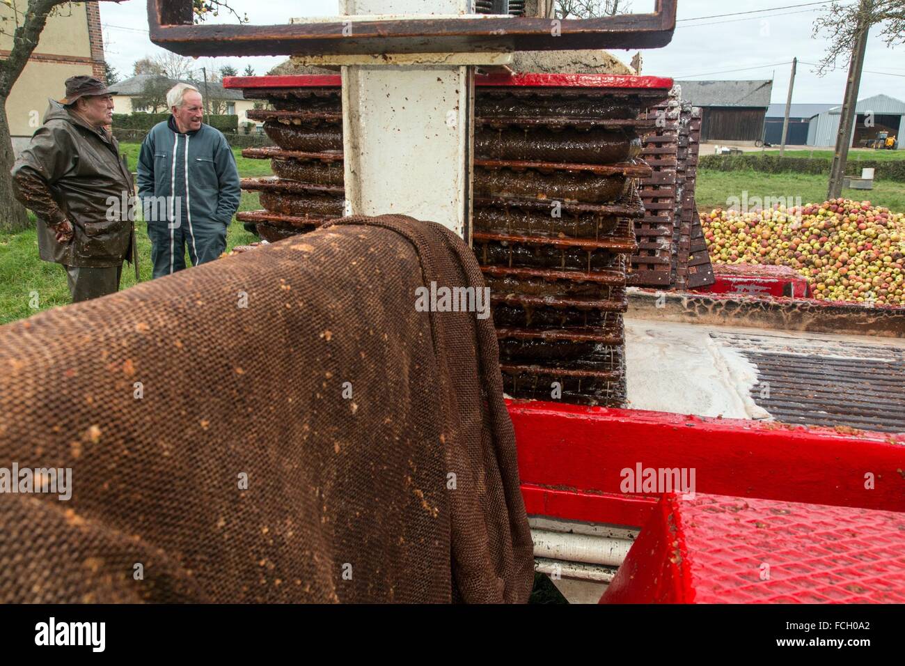 The Making Of Farm Cider Stock Photos & The Making Of Farm Cider Stock ...