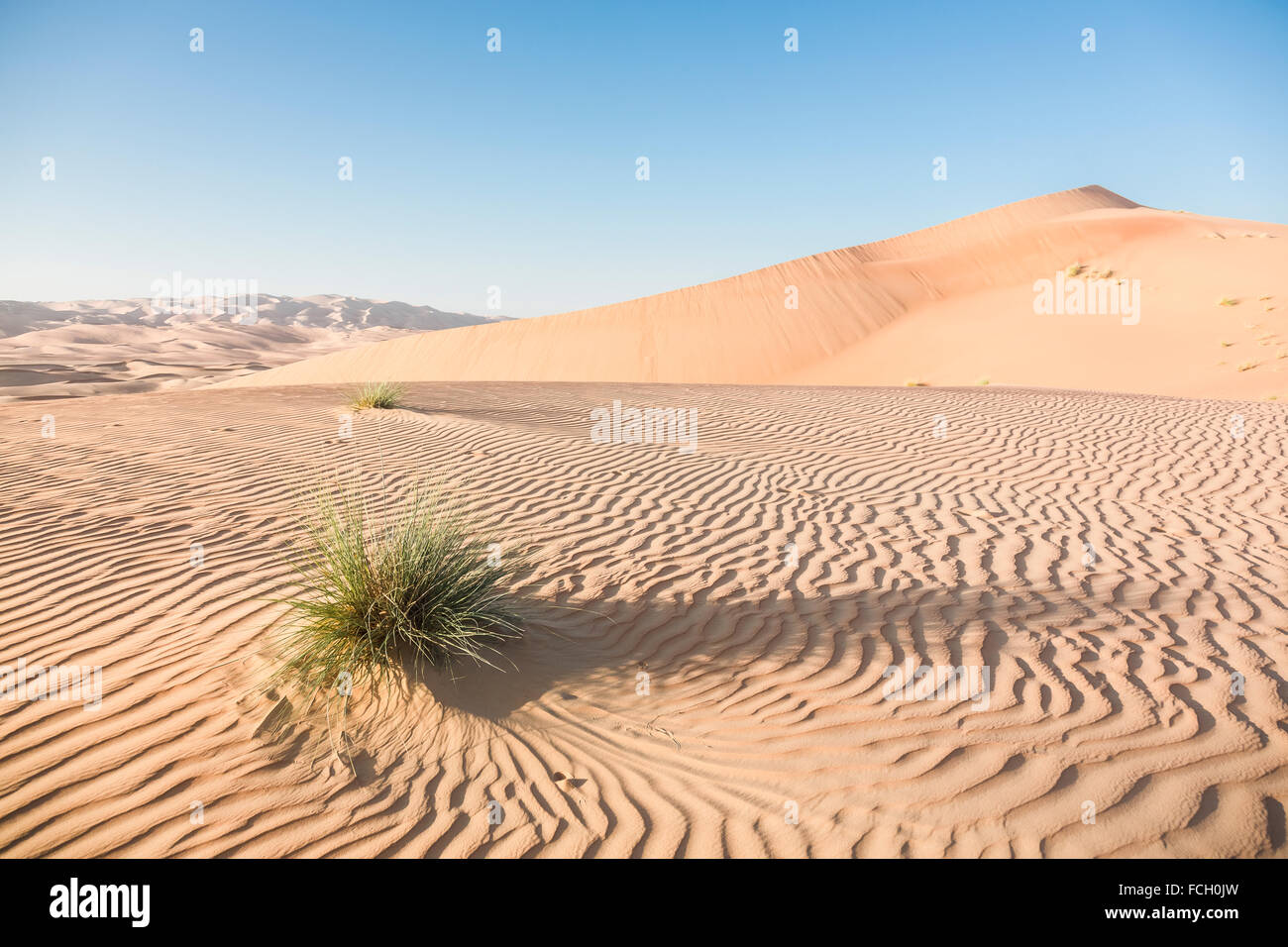 United Arab Emirates, desert Stock Photo - Alamy