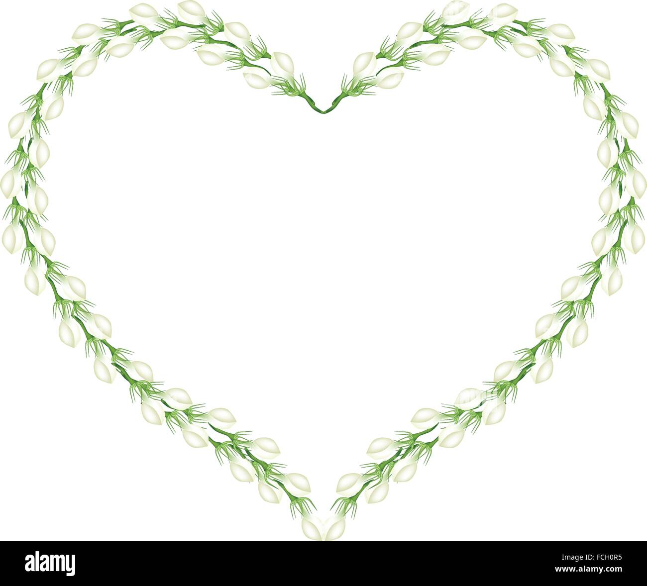 Love Concept, Illustration of White Jasmine Flowers Forming in Heart ...