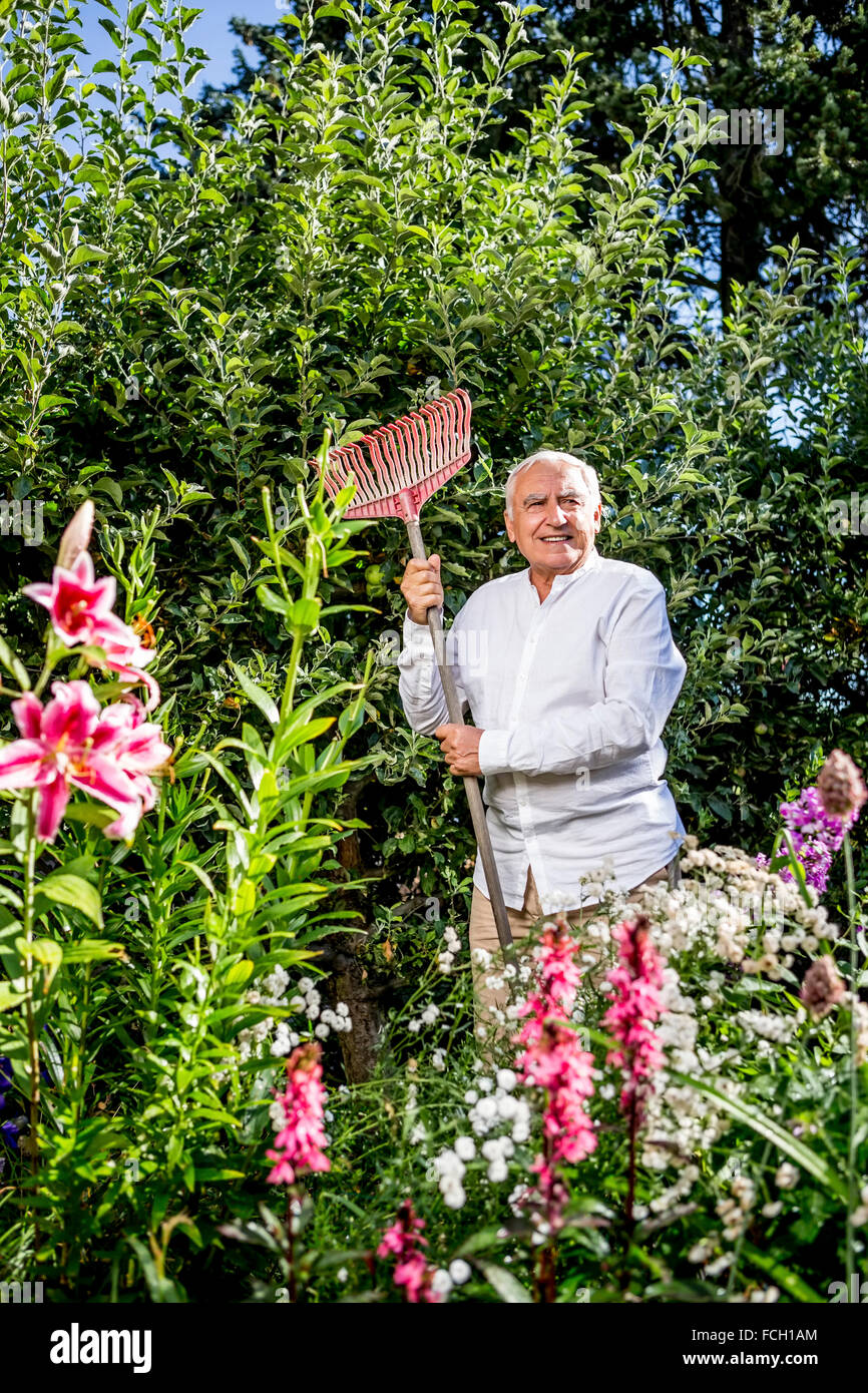 Senior man standing rake in garden Stock Photo - Alamy