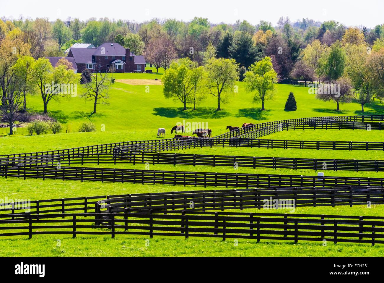 Winstar High Resolution Stock Photography and Images - Alamy