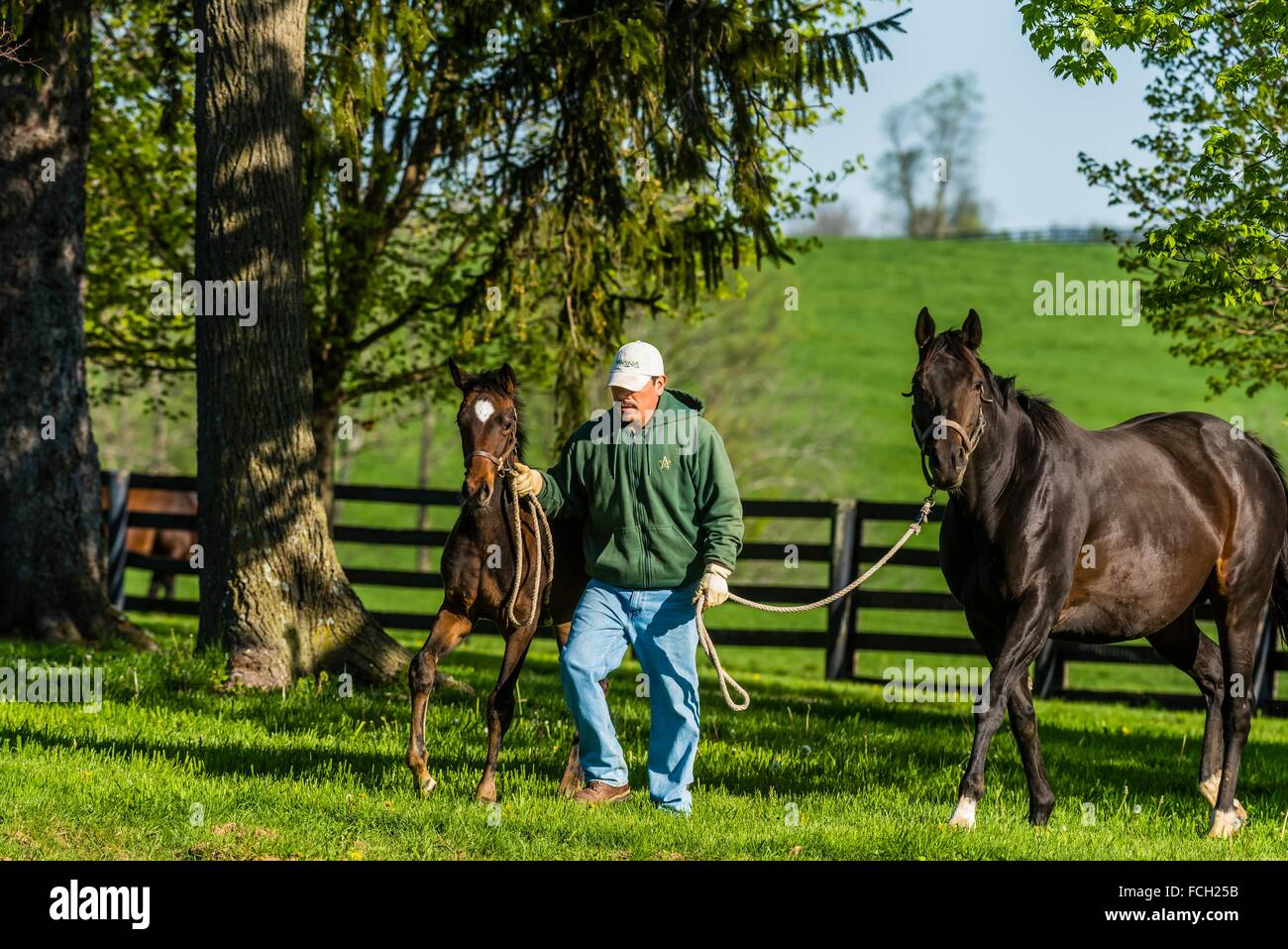 Stables Versailles High Resolution Stock Photography and Images - Alamy