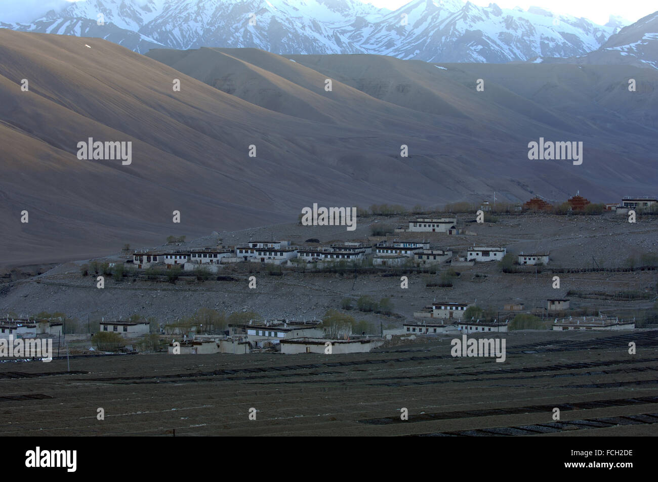 Tibet Ali pulan Stock Photo - Alamy