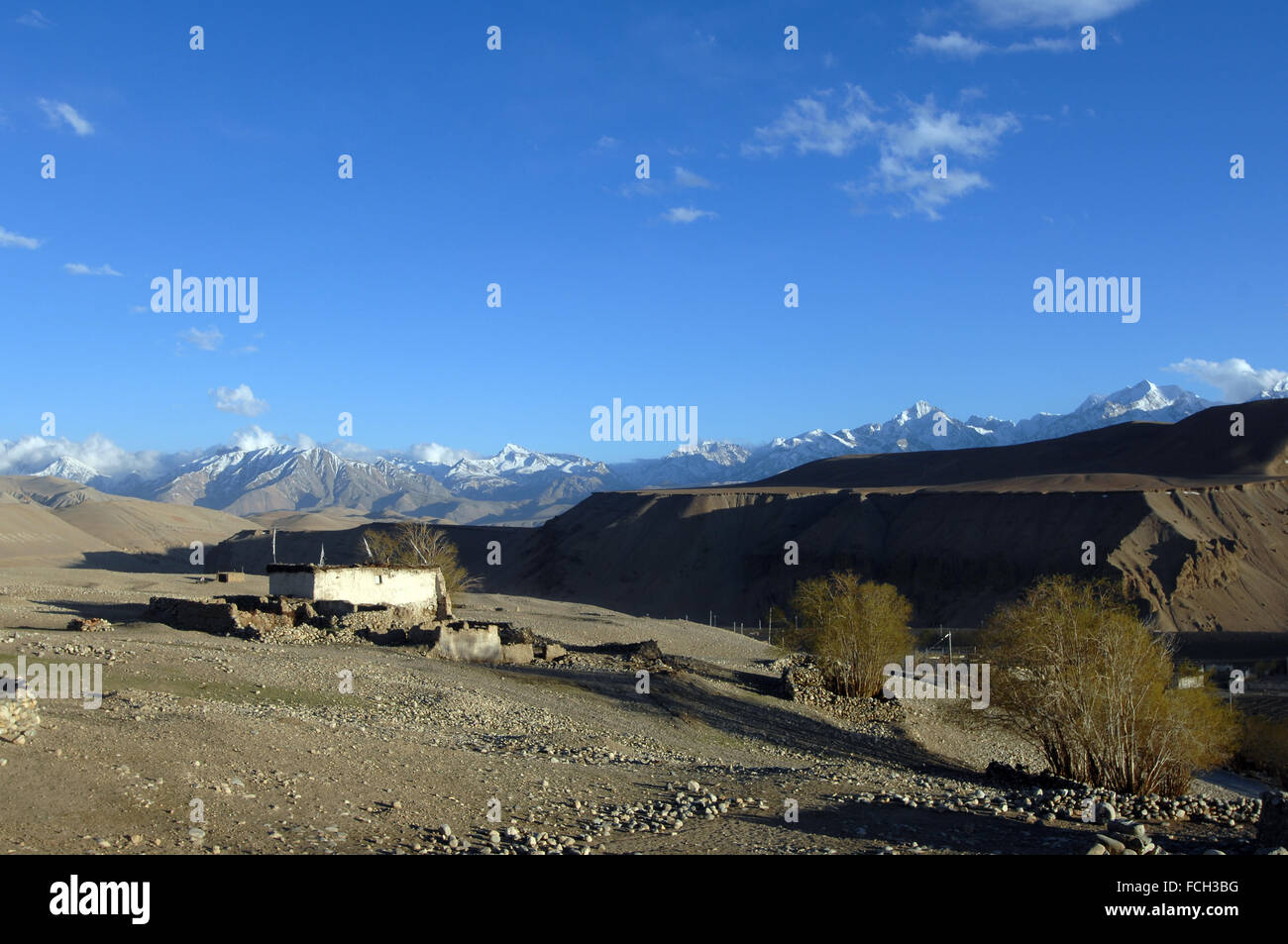 Tibet Ali pulan Stock Photo - Alamy
