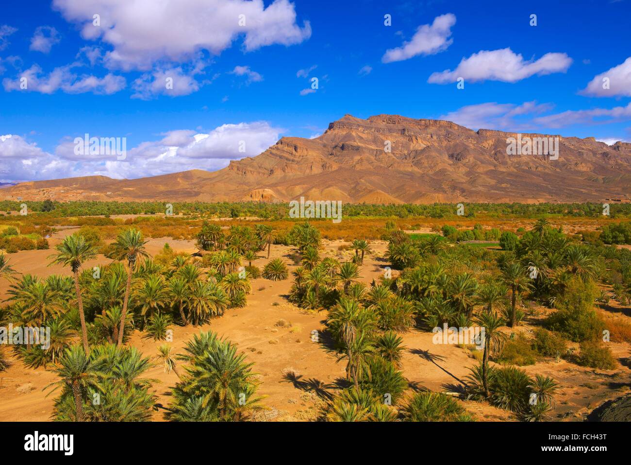 Agdz morocco oasis date palm hi-res stock photography and images - Alamy