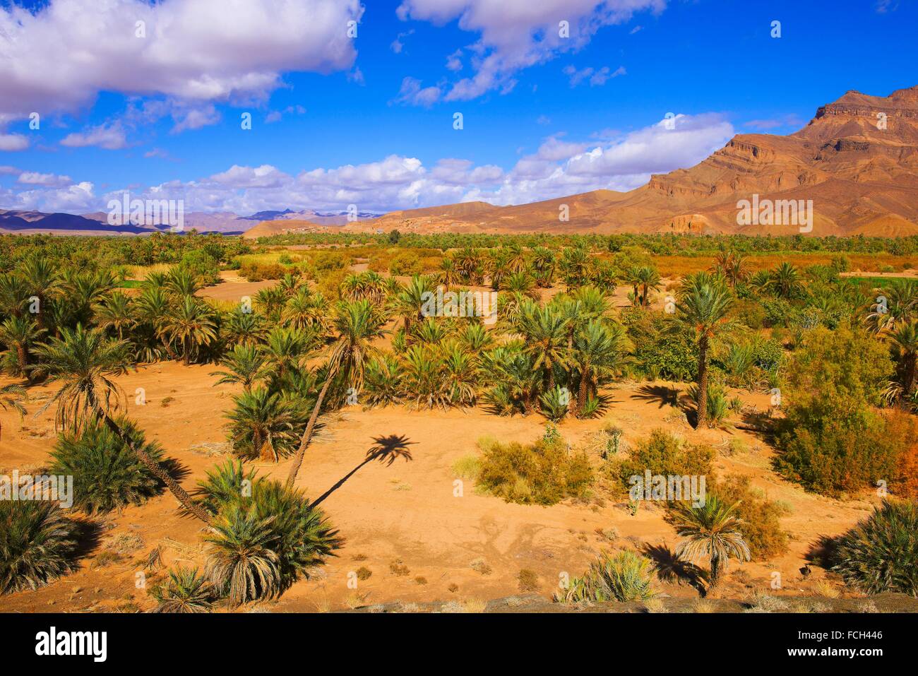 Djebel Kissane, Agdz, Palm Grove, Oasis, Draa Valley, Souss-Massa-Draa ...