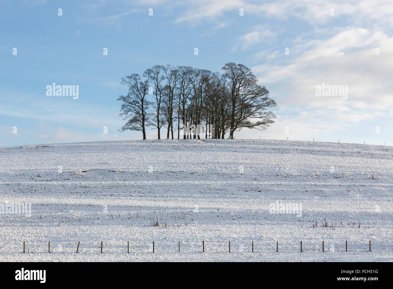 Snow filled Yorkshire Dales Stock Photo - Alamy