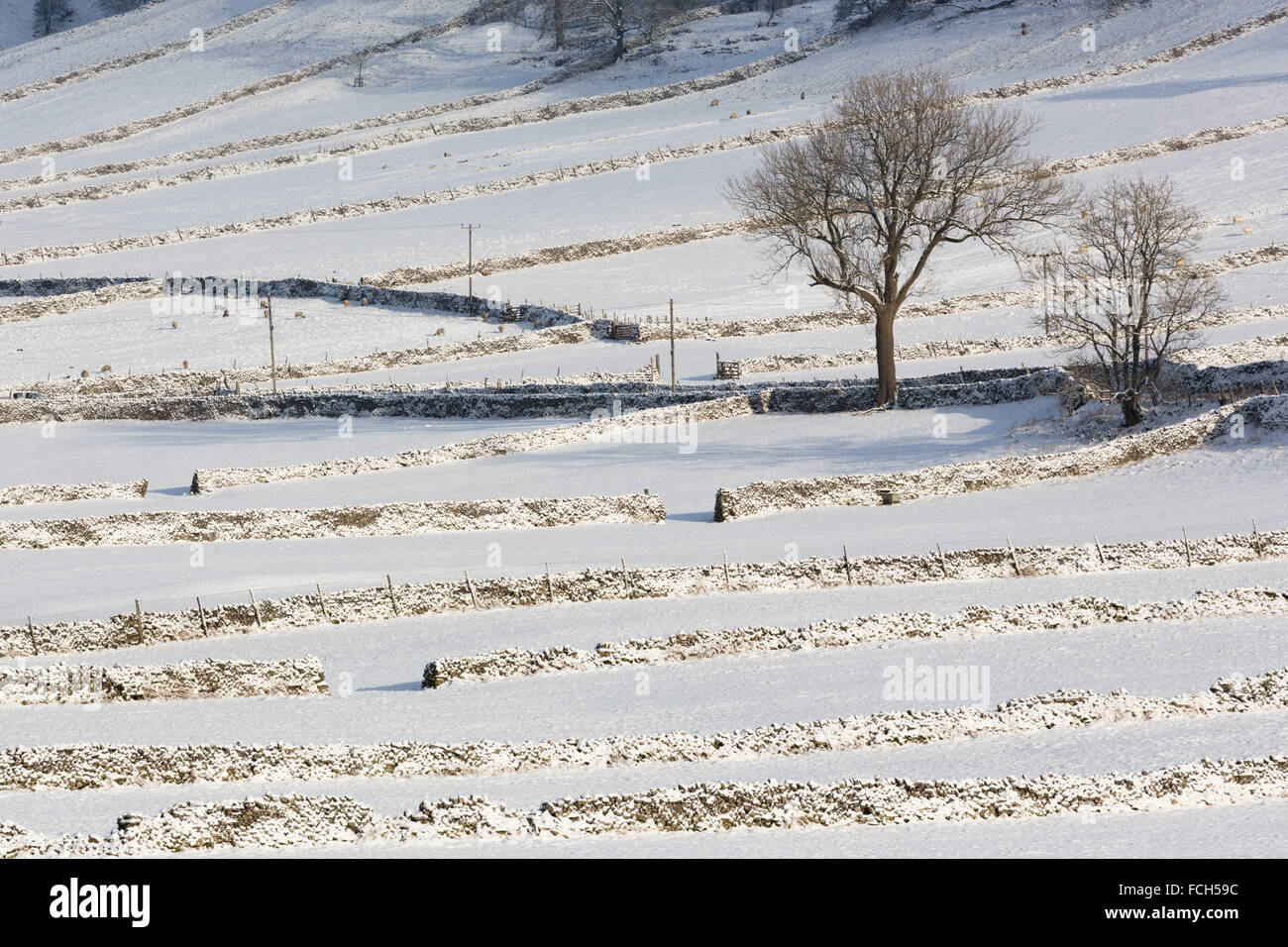 Snow filled Yorkshire Dales Stock Photo - Alamy