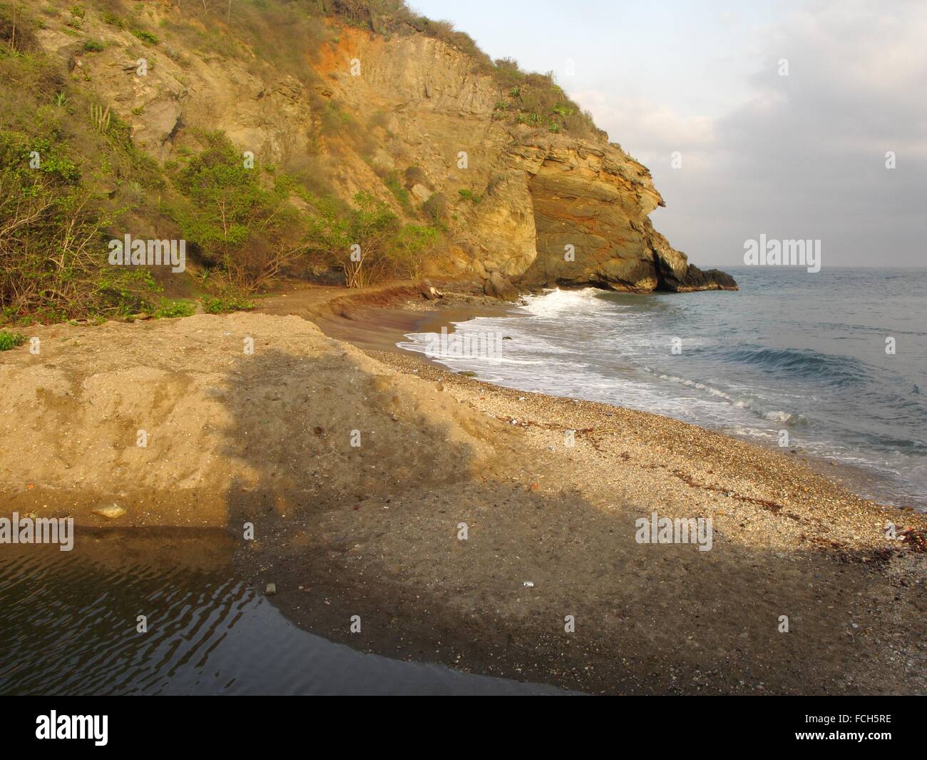 Discover caribbean hi-res stock photography and images - Alamy