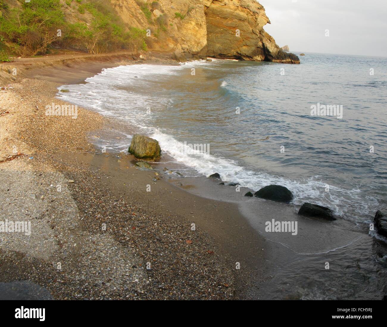 Discover caribbean hi-res stock photography and images - Alamy