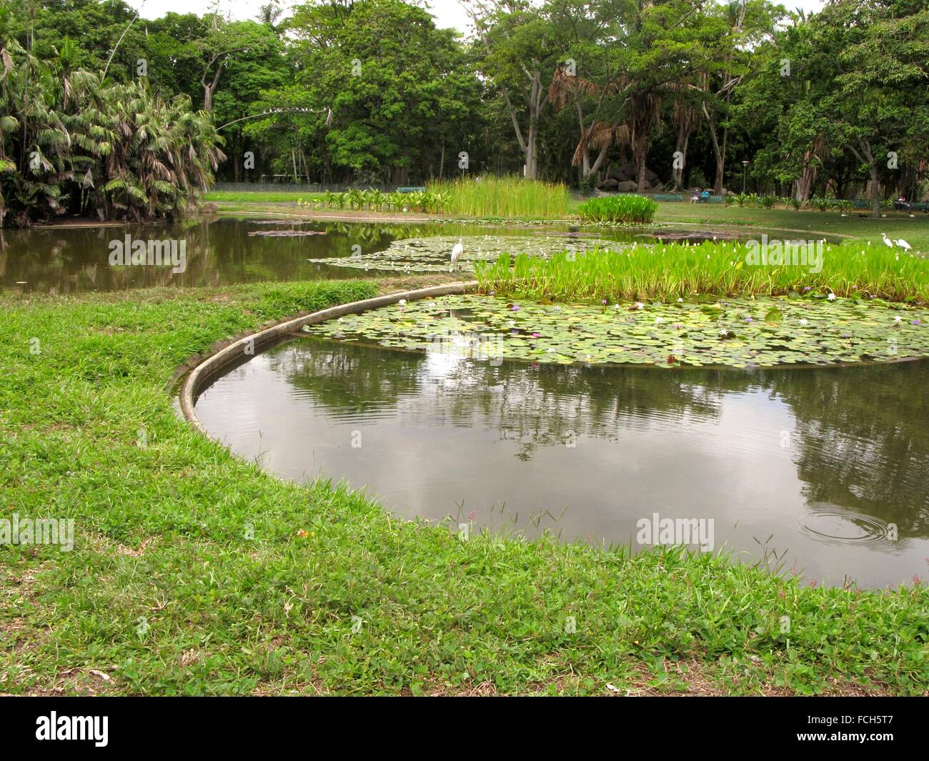 Caracas botanical garden hi-res stock photography and images - Alamy